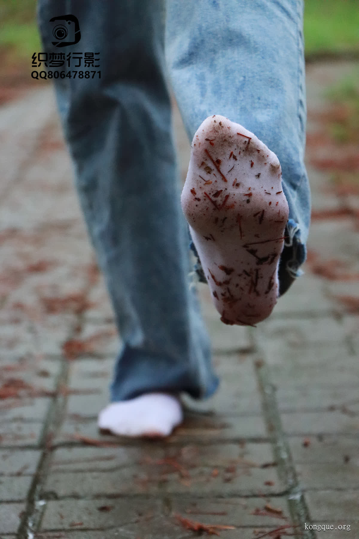 织梦映像 - 全套68期及视频合集[530G-2025.3]